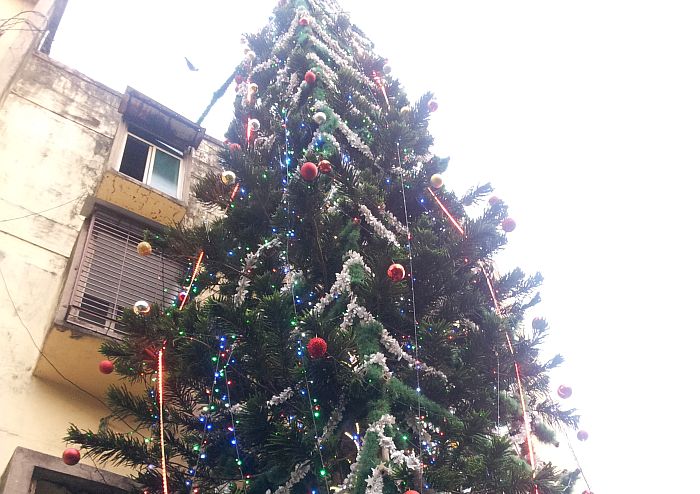 A Christmas Tree that is India's tallest - and growing - IndiaVision ...